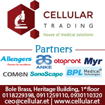 Ethiopian Business Portal