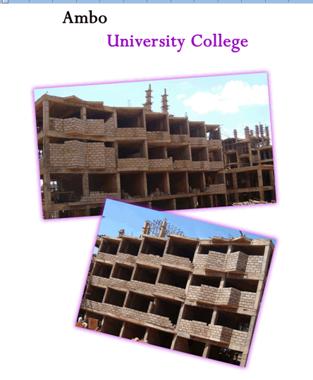 Image: TEKLEBERHAN AMBAYE CONSTRUCTION PLC (TACON) - www.2merkato.com