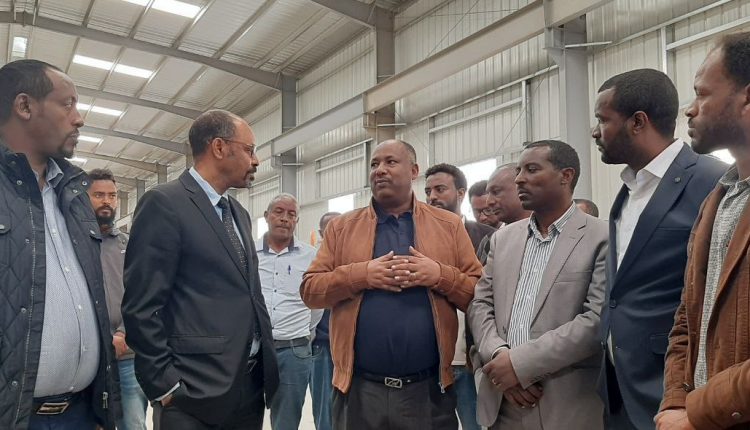 Ethiopia: An Electric Car Assembly Company to Become Operational in ...
