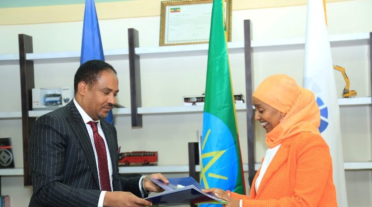 Ethiopia: Land Bank and Development Corporation and Ethio-Engineering ...